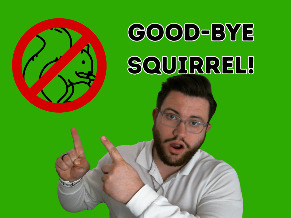 How to Get a Squirrel Out of My Attic in Dallas? - Preferred Pest ...