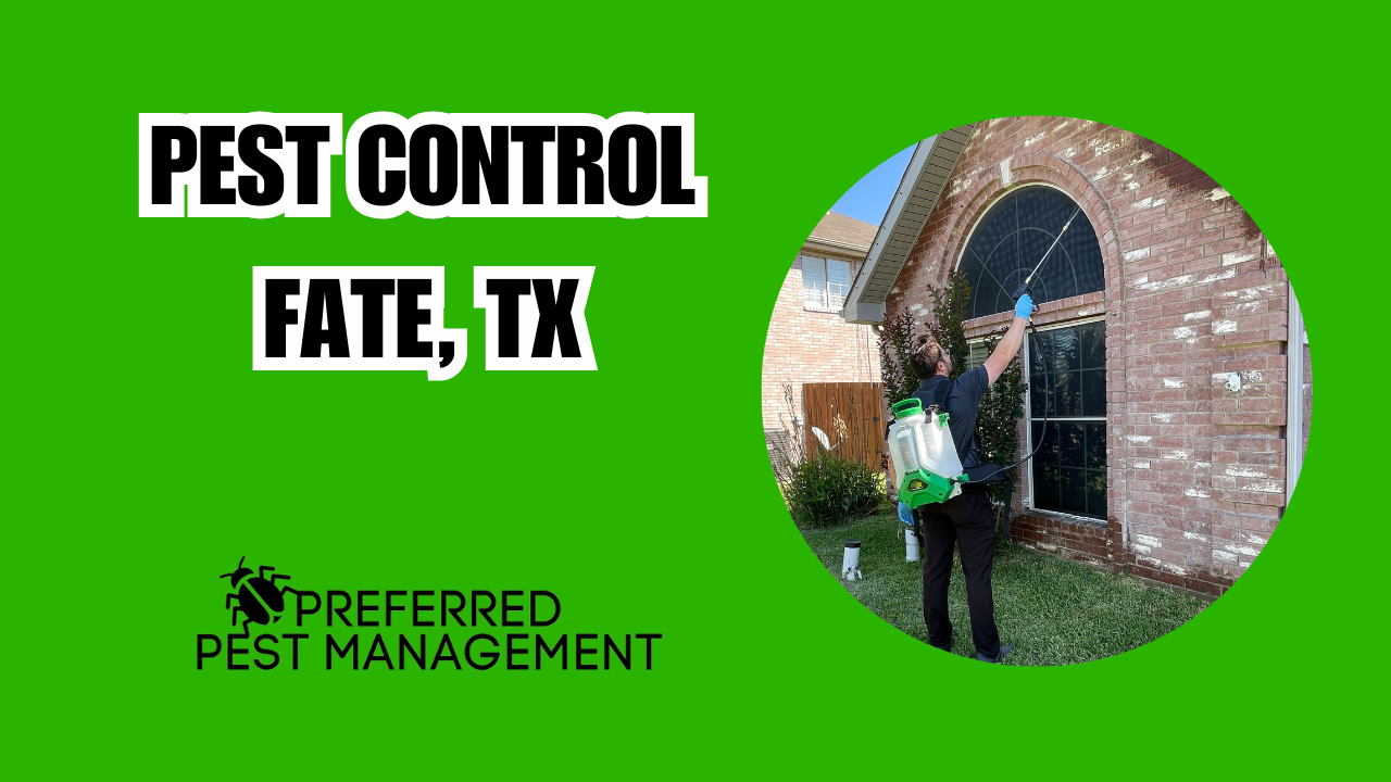 Pest Control Fate, TX - Preferred Pest Management